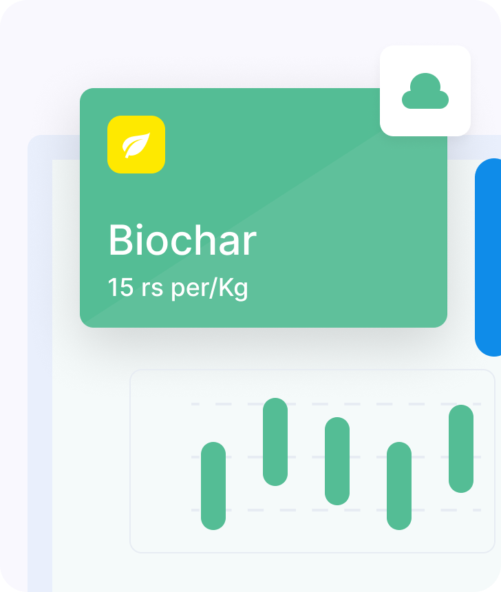 Decarbonization program